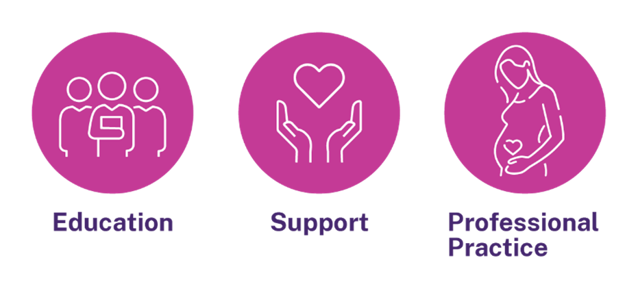 Midwifery Pathways in Practice (MidPiP) fact sheet - Professional practice